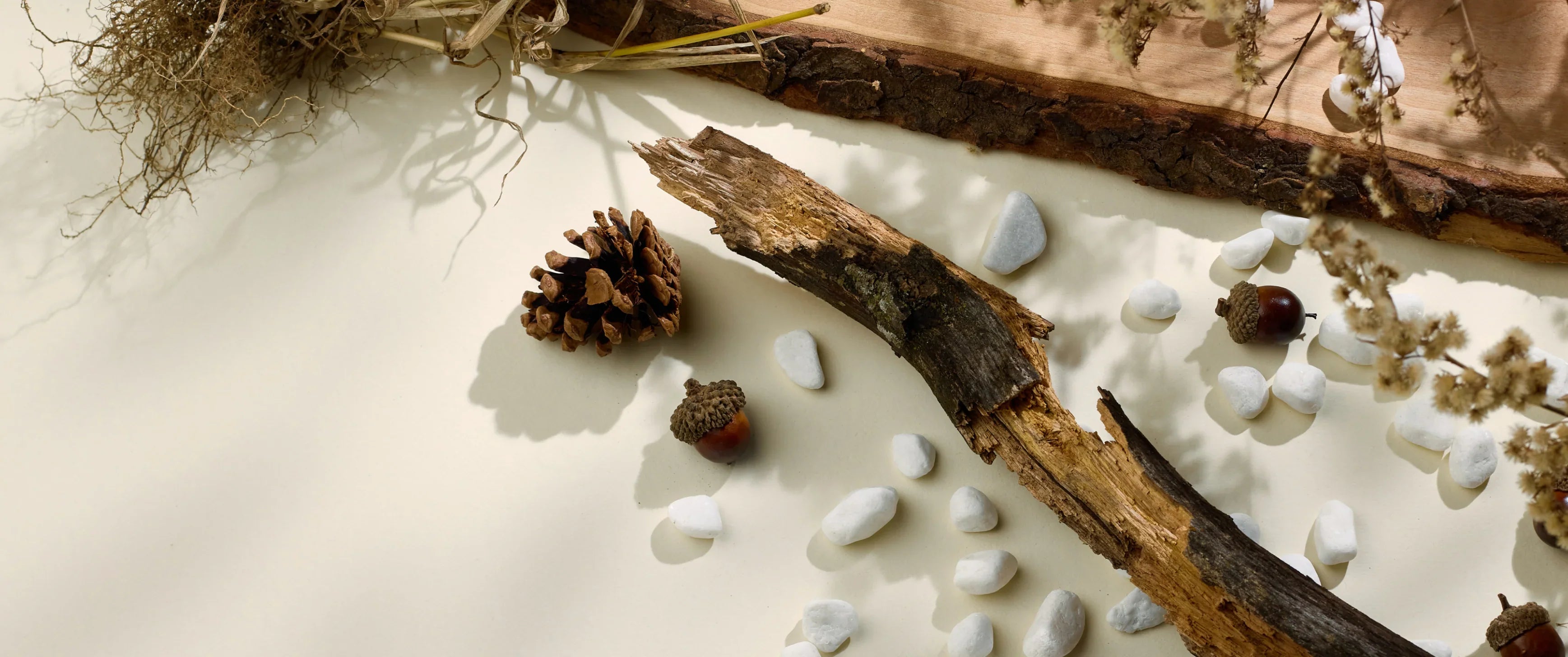 Earthy Home Fragrances – Trapp Fragrances